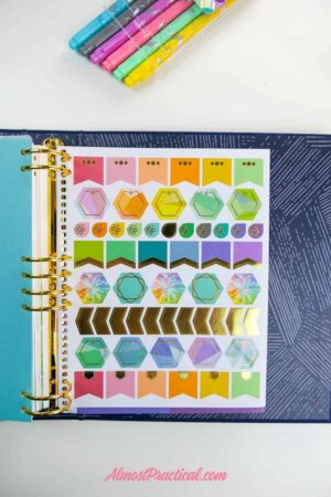Erin Condren LifePlanner Binder Review