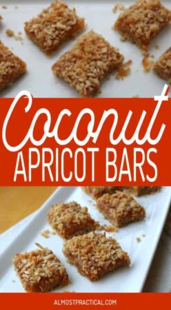 Decadent Apricot Bars With Coconut Crumble Topping