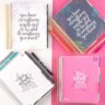 Erin Condren Colorful vs Neutral Theme - Which One Should You Choose?