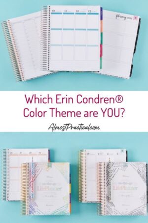 Erin Condren Colorful vs Neutral Theme - Which One Should You Choose?