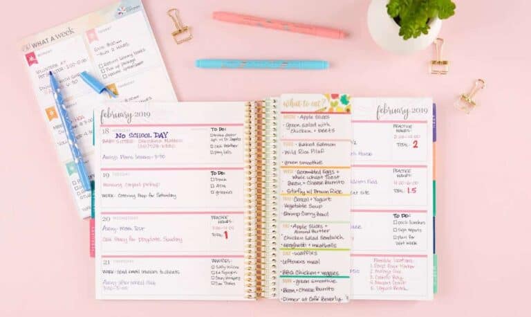 Erin Condren Colorful vs Neutral Theme - Which One Should You Choose?